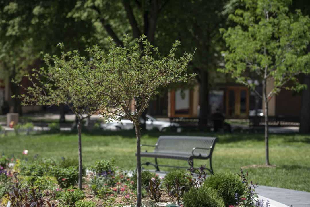 Sponsor A Part of Your Parks - Saint Paul Parks Conservancy