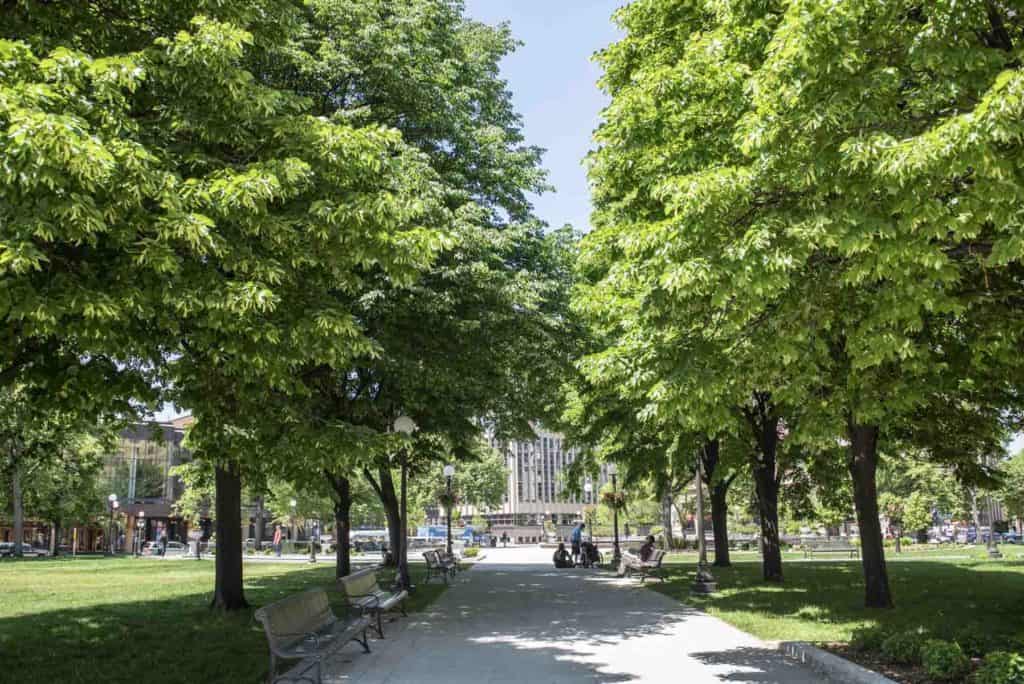 Sponsor A Part of Your Parks - Saint Paul Parks Conservancy