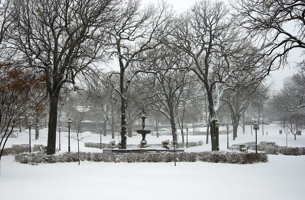 Gallery – Saint Paul Parks Conservancy